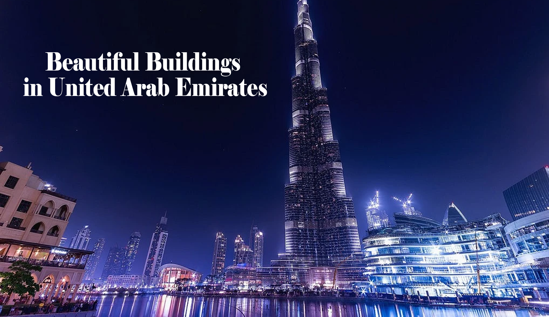 professional website design melbourne